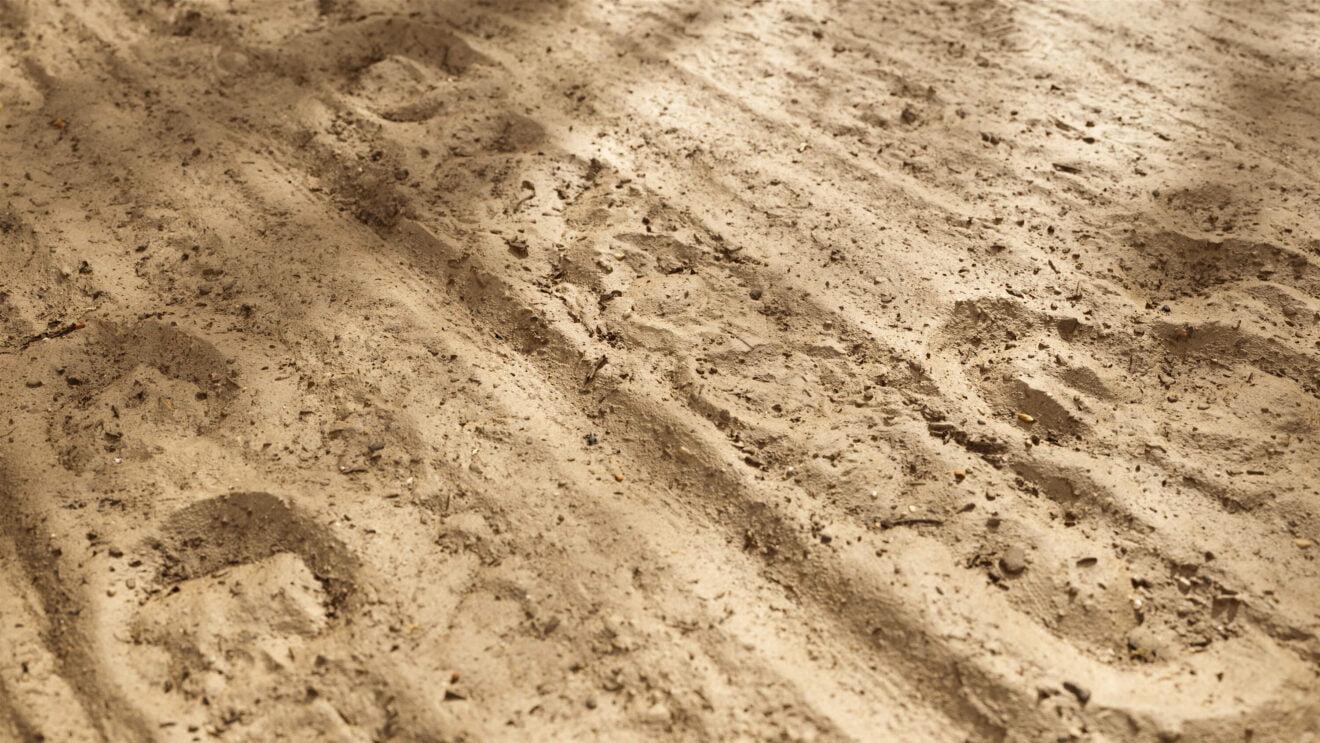 Seamless Ground Textures | Materials Of The World
