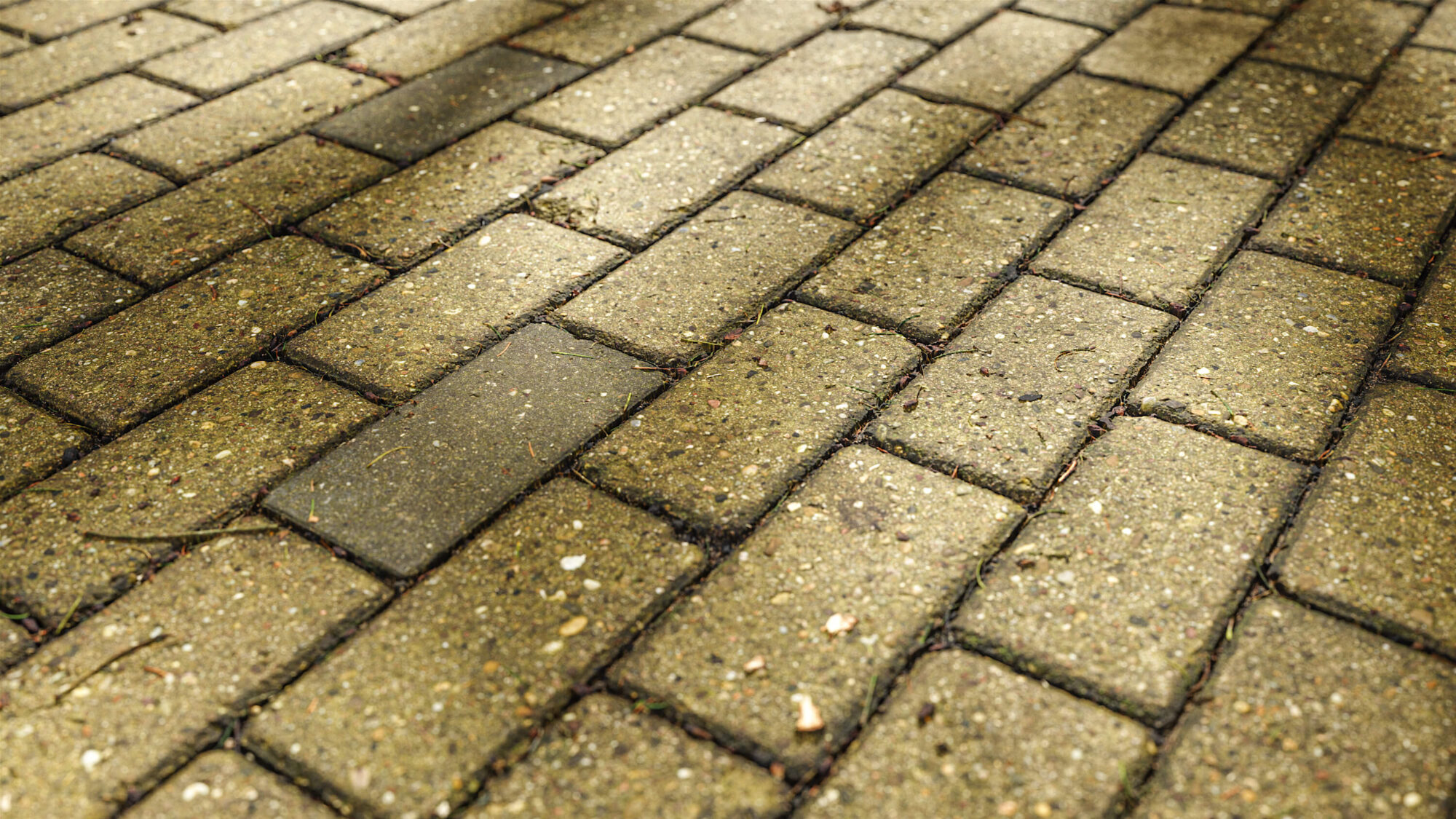Brick Pavement 01 Seamless PBR Texture