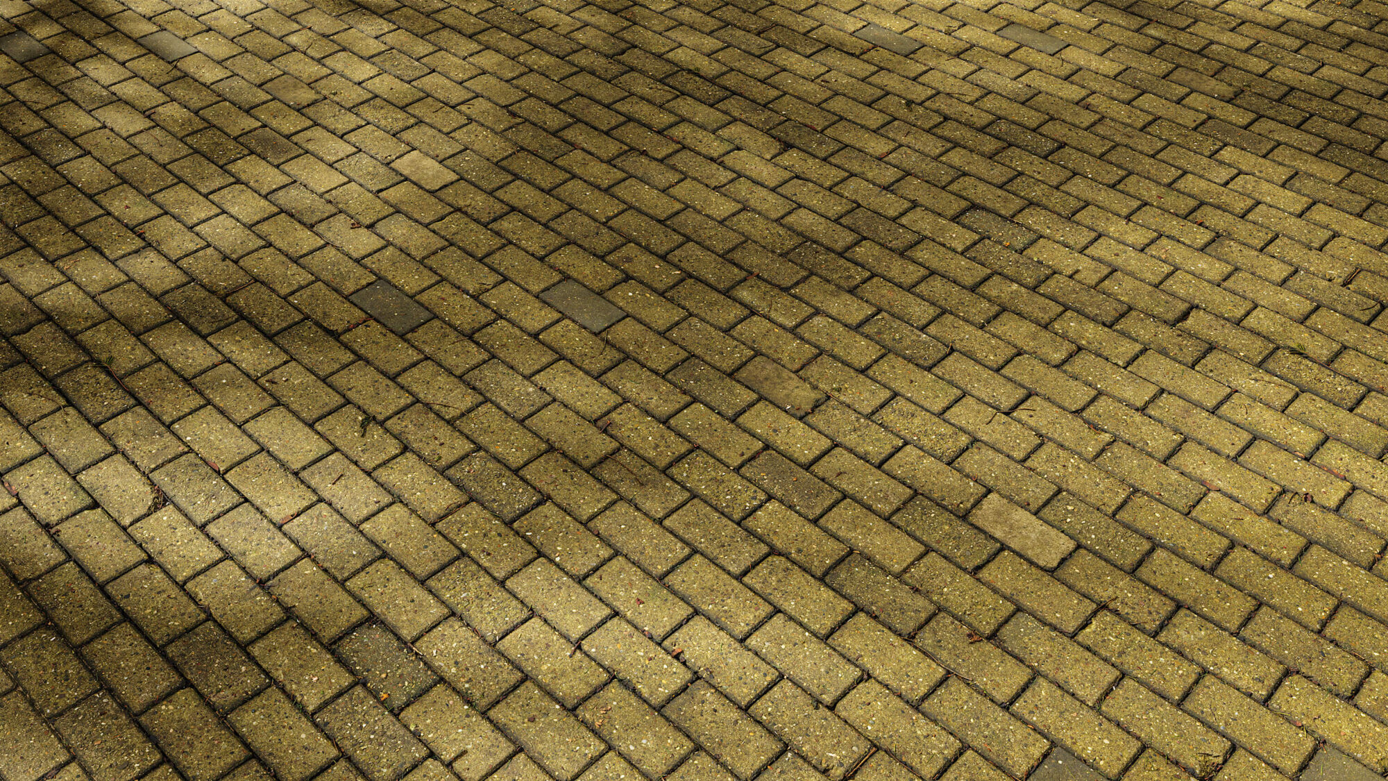 Brick Pavement 01 Seamless PBR Texture