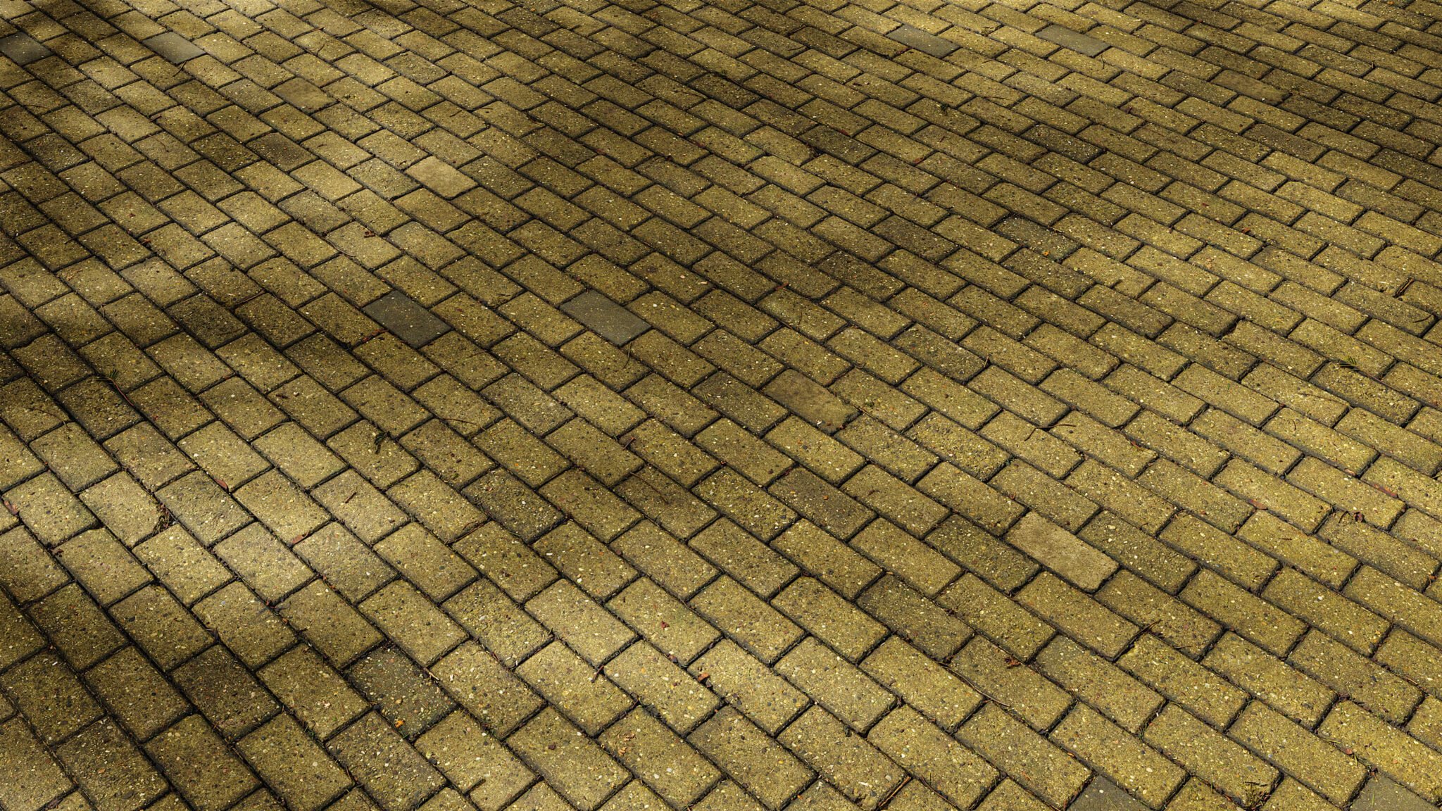 Brick Pavement 01 Seamless PBR Texture