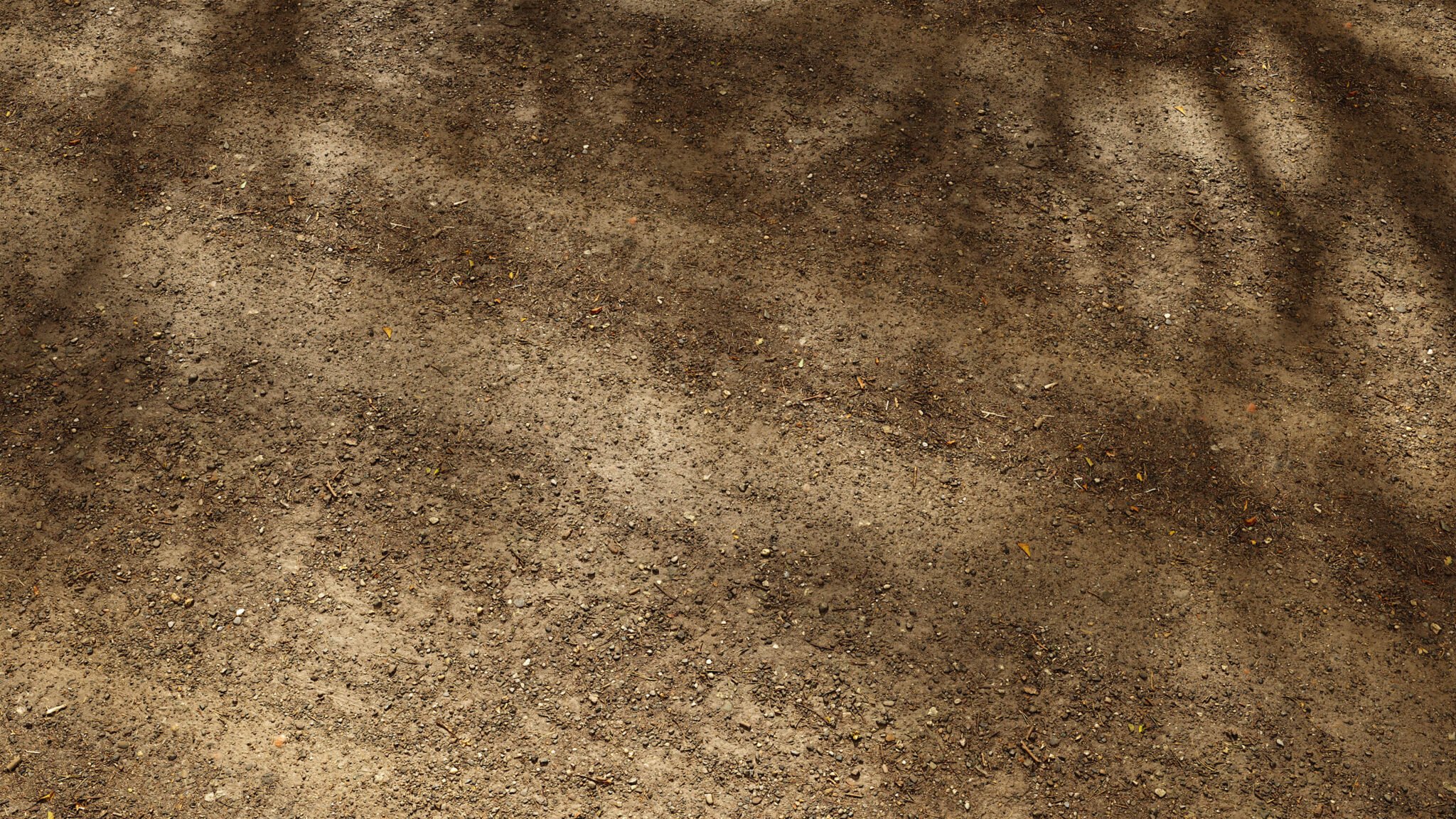 Seamless Forest Floor Texture | Materials of the World