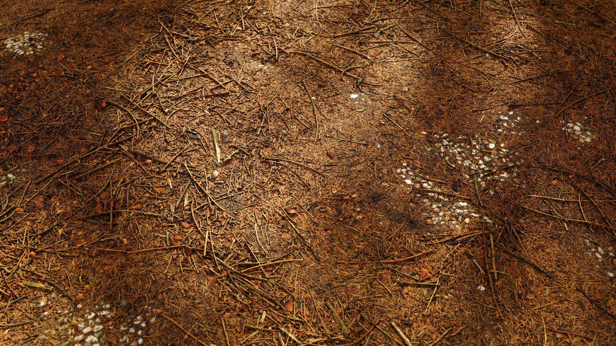 Seamless Forest Floor Texture | Materials of the World