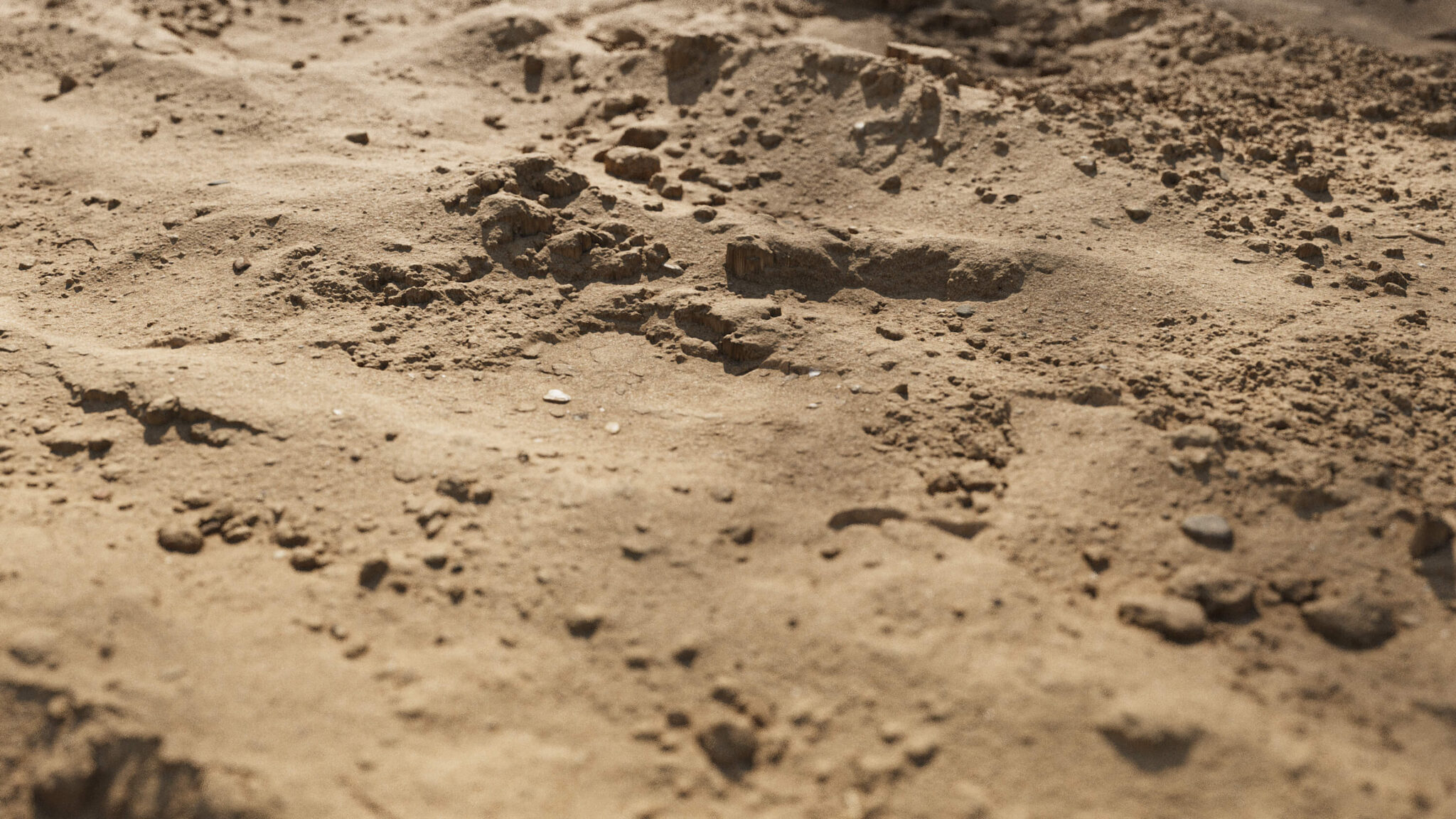 Seamless Trampled Soil Texture | Materials of the World