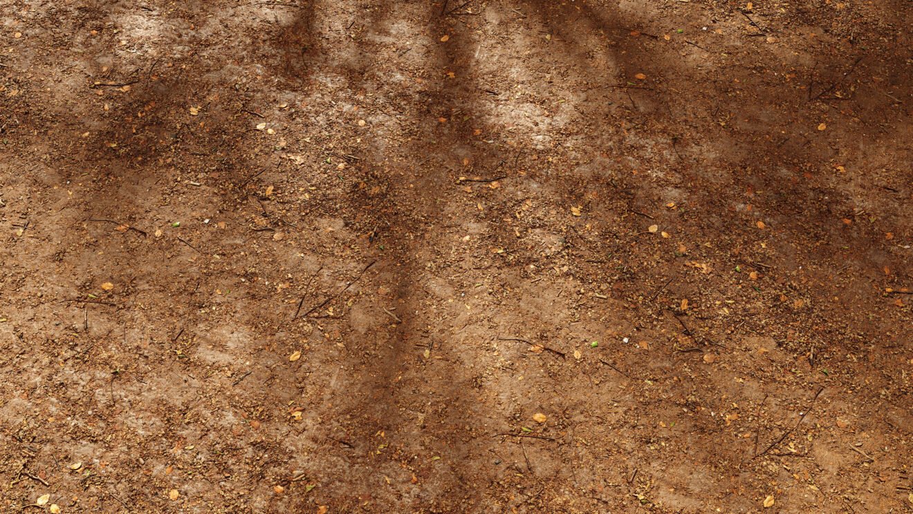 Seamless Forest Ground Texture | Materials of the World