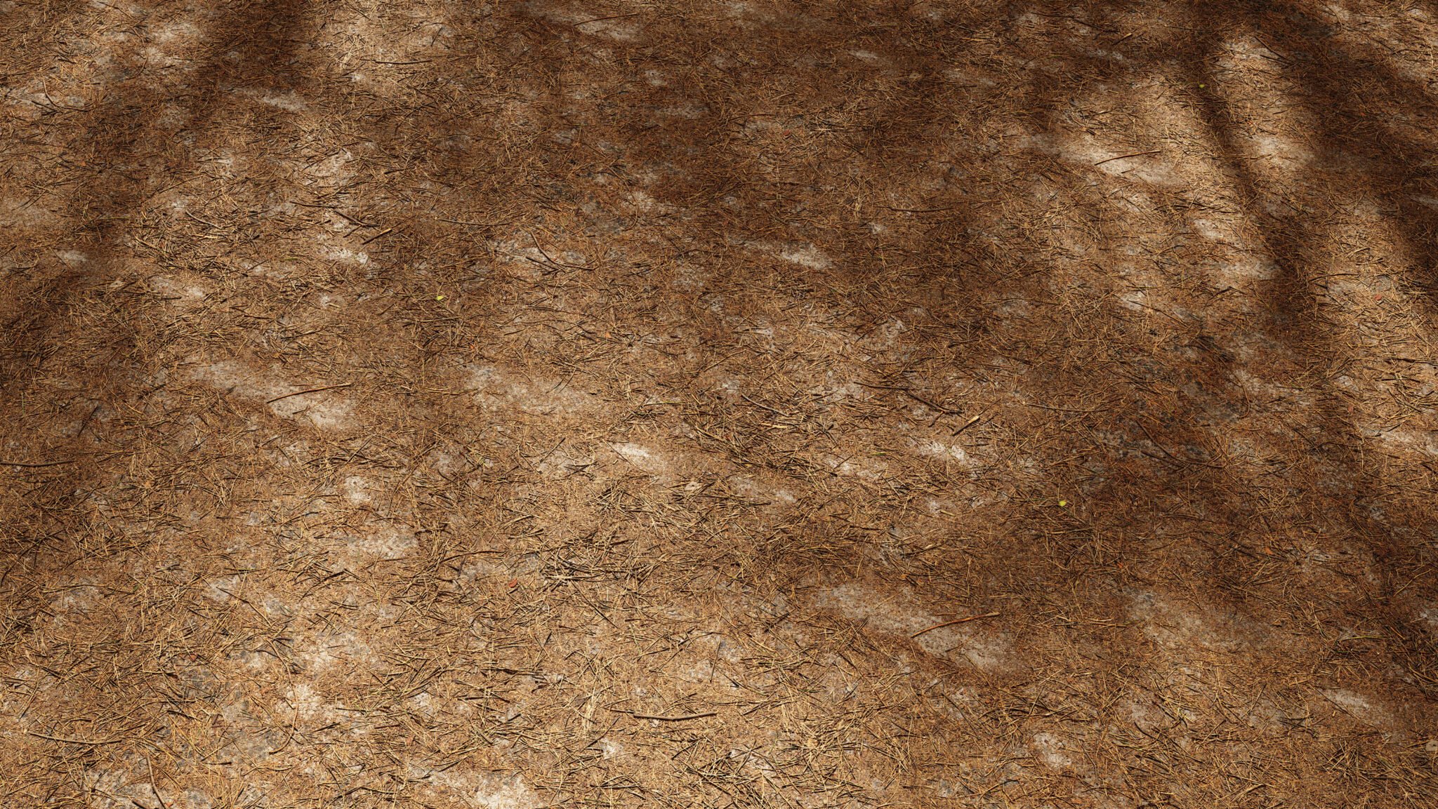 Seamless Forest Floor Texture | Materials of the World