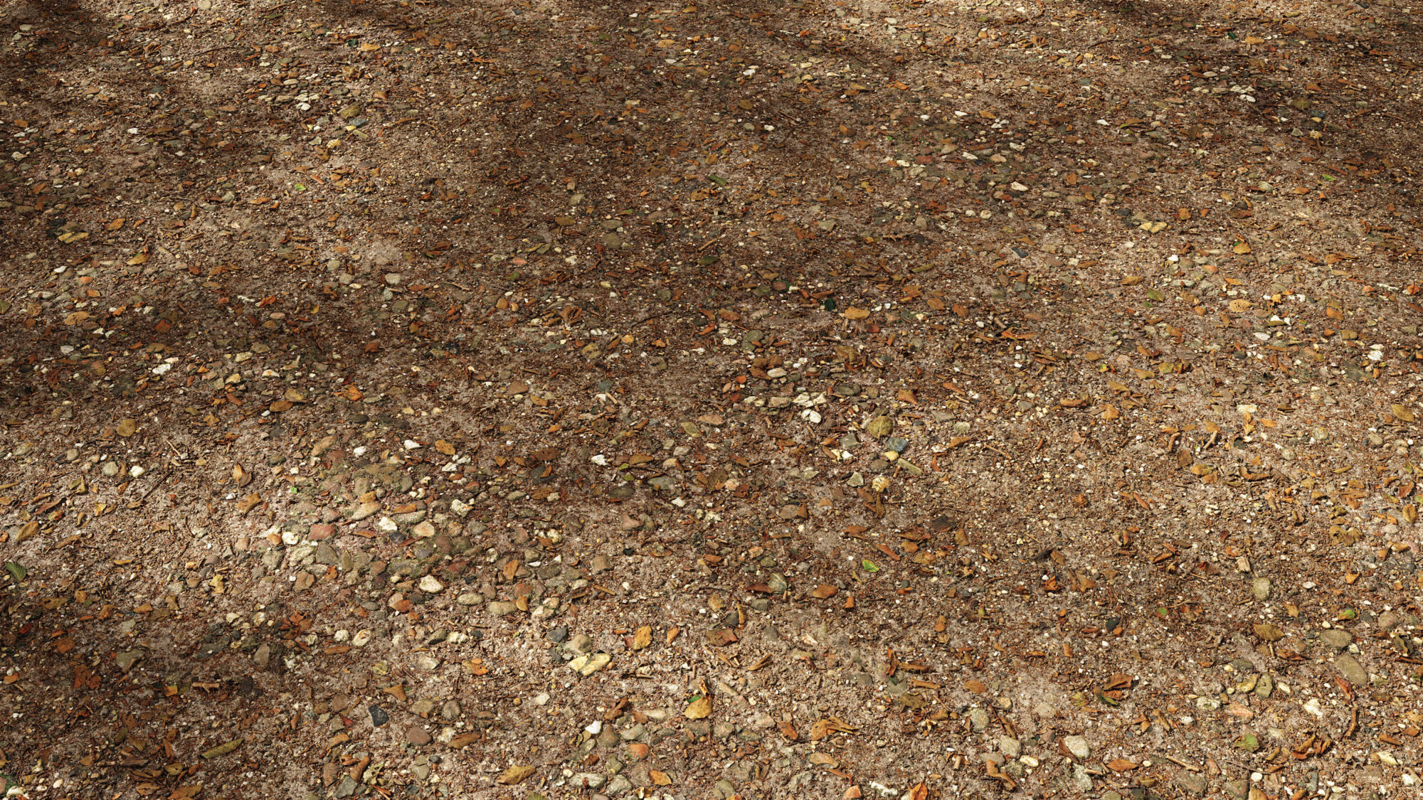 Rocky Forest Ground 01 Seamless PBR Texture