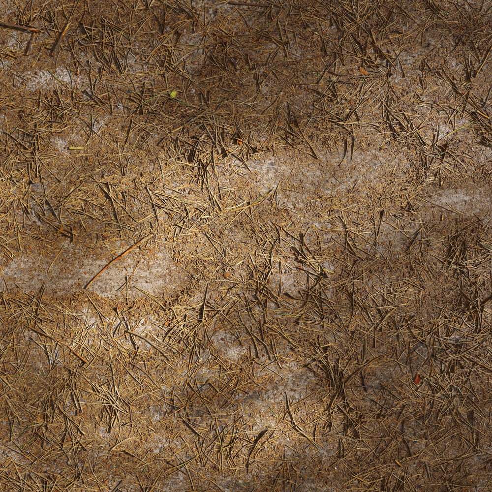 High-Resolution Seamless Forest Floor PBR Texture