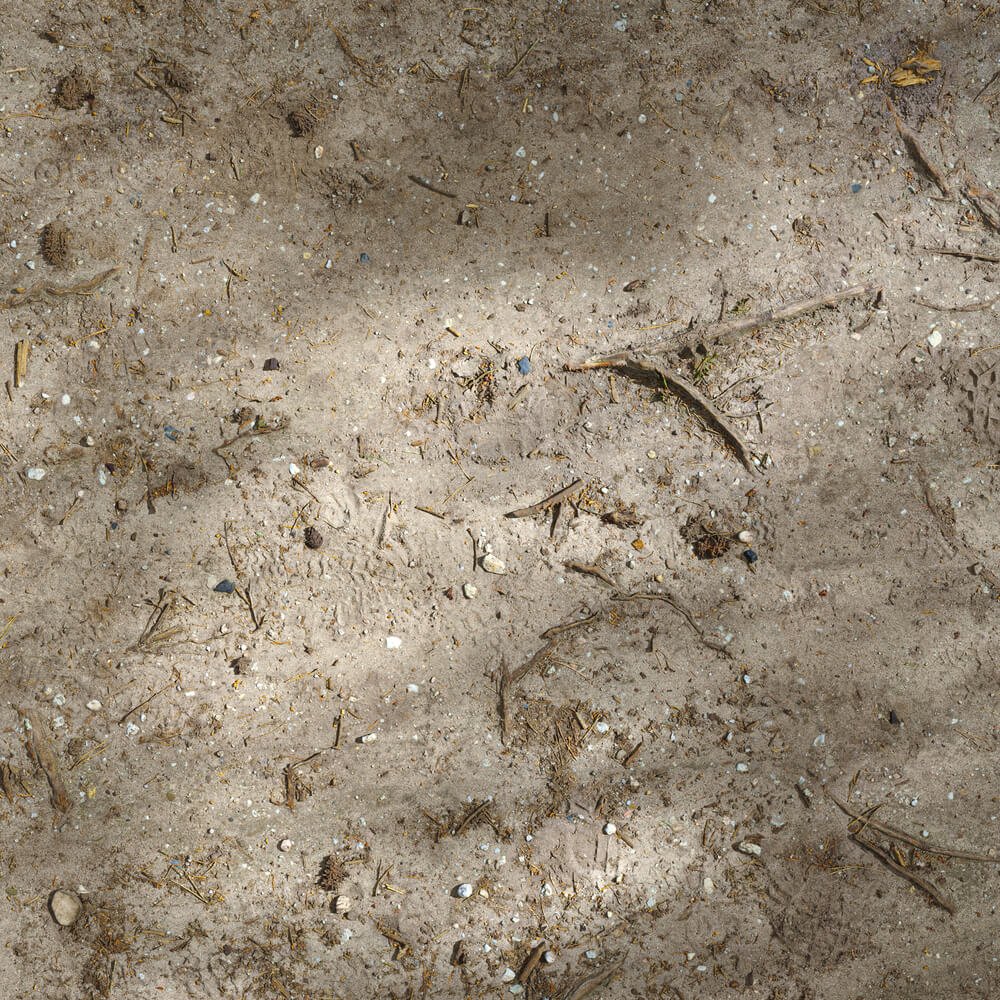 High-Resolution Seamless Forest Ground PBR Texture