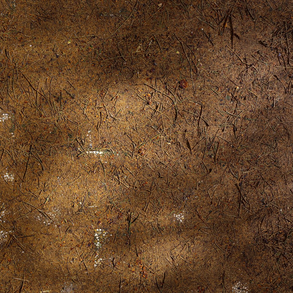 High-Resolution Seamless Forest Floor PBR Texture