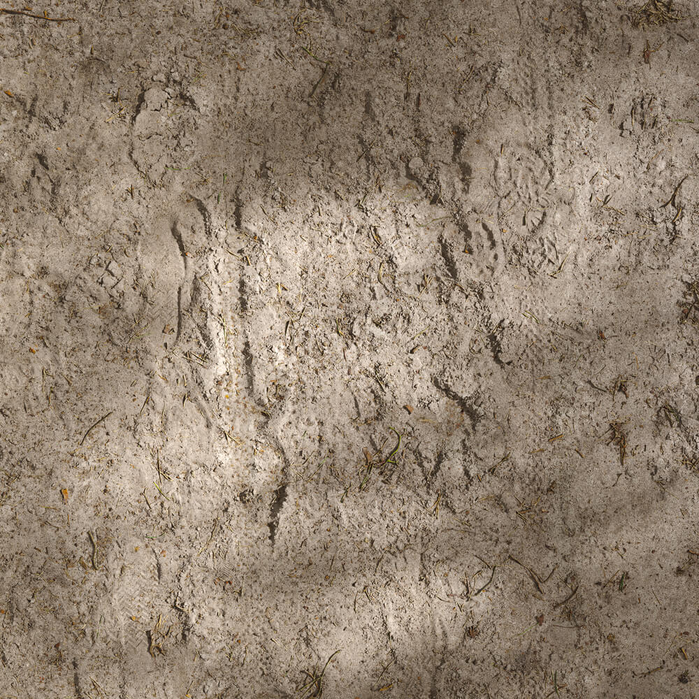 High-Resolution Seamless Soil PBR Texture