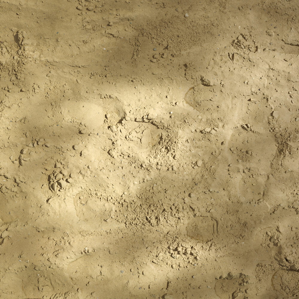 High-Resolution Seamless Soil PBR Texture