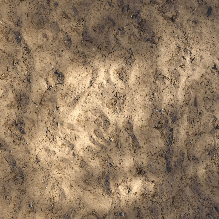 High-Resolution Seamless Soil PBR Texture