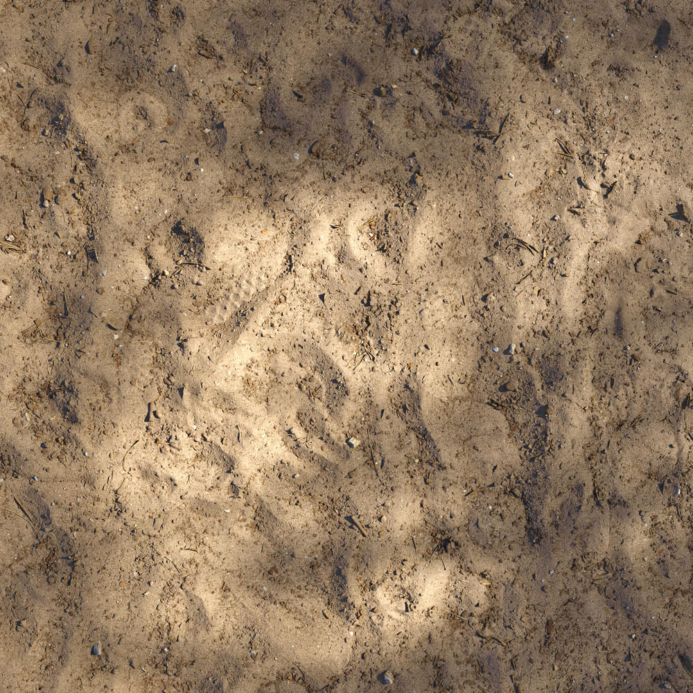 High-Resolution Seamless Soil PBR Texture