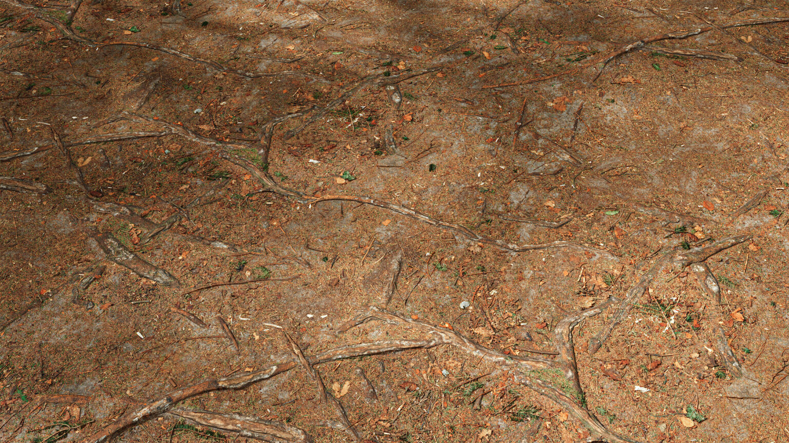 Seamless Forest Floor Texture | Materials of the World