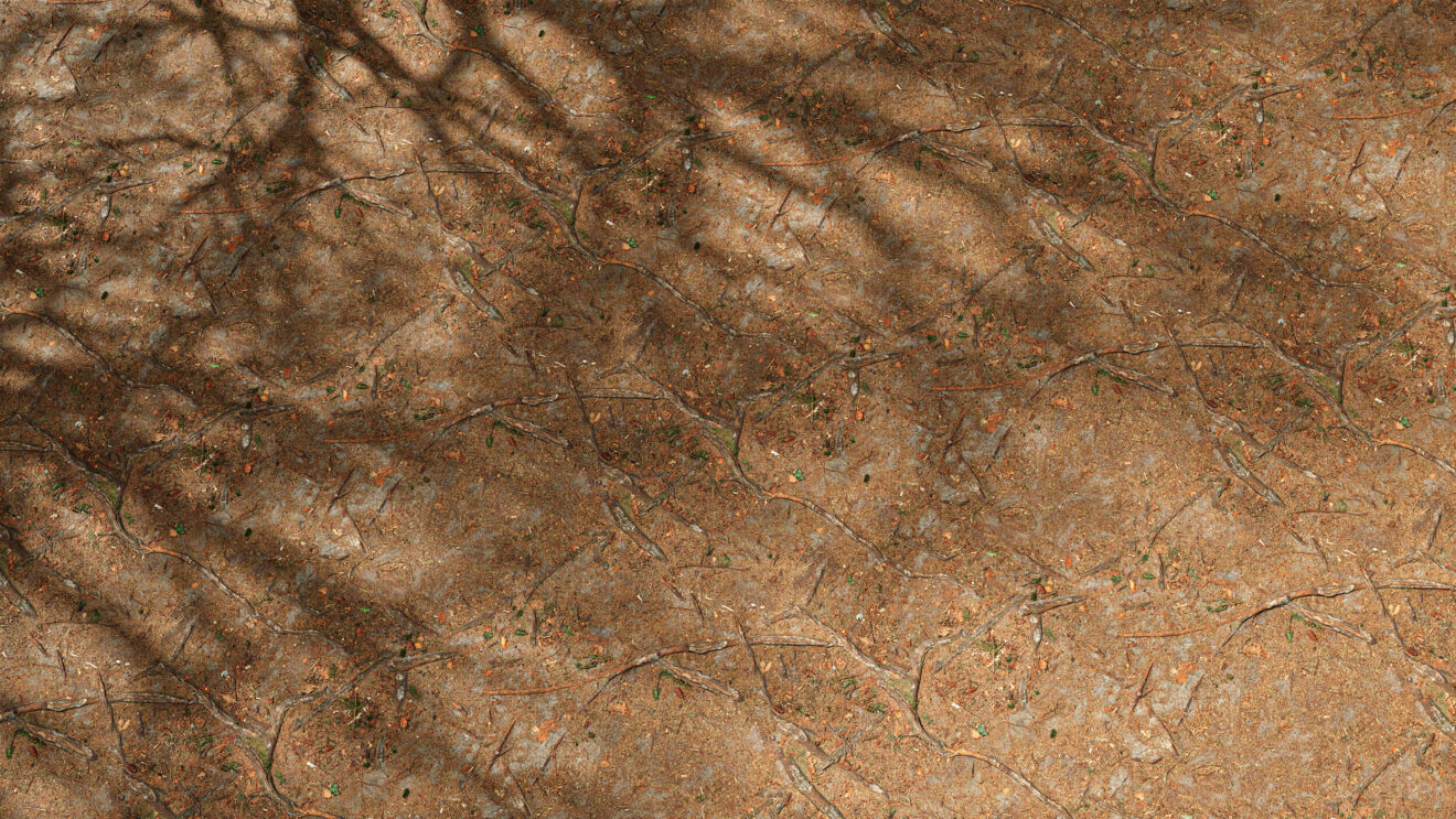High-Resolution Seamless Forest Ground PBR Texture