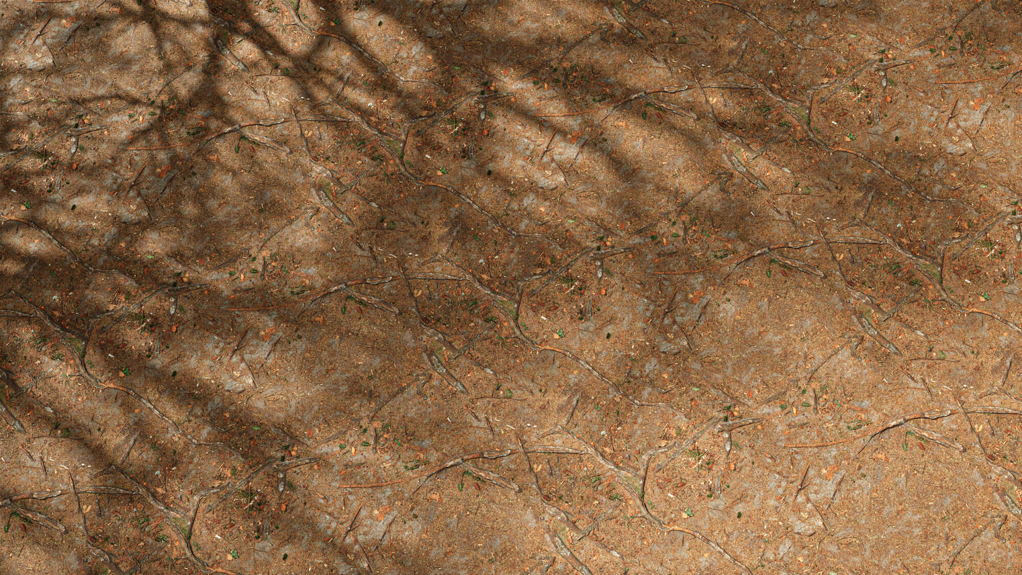 High-Resolution Seamless Forest Ground PBR Texture