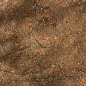 High-Resolution Seamless Forest Ground PBR Texture