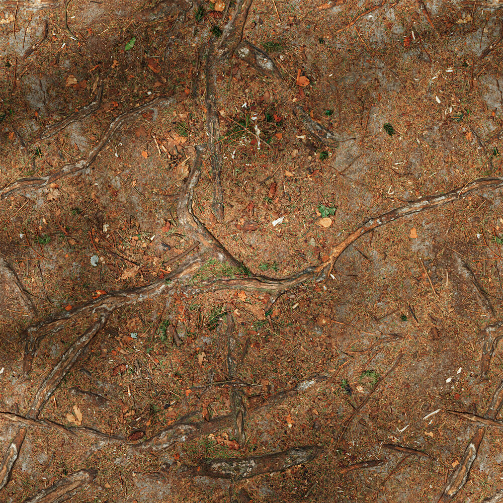 High-Resolution Seamless Forest Ground PBR Texture