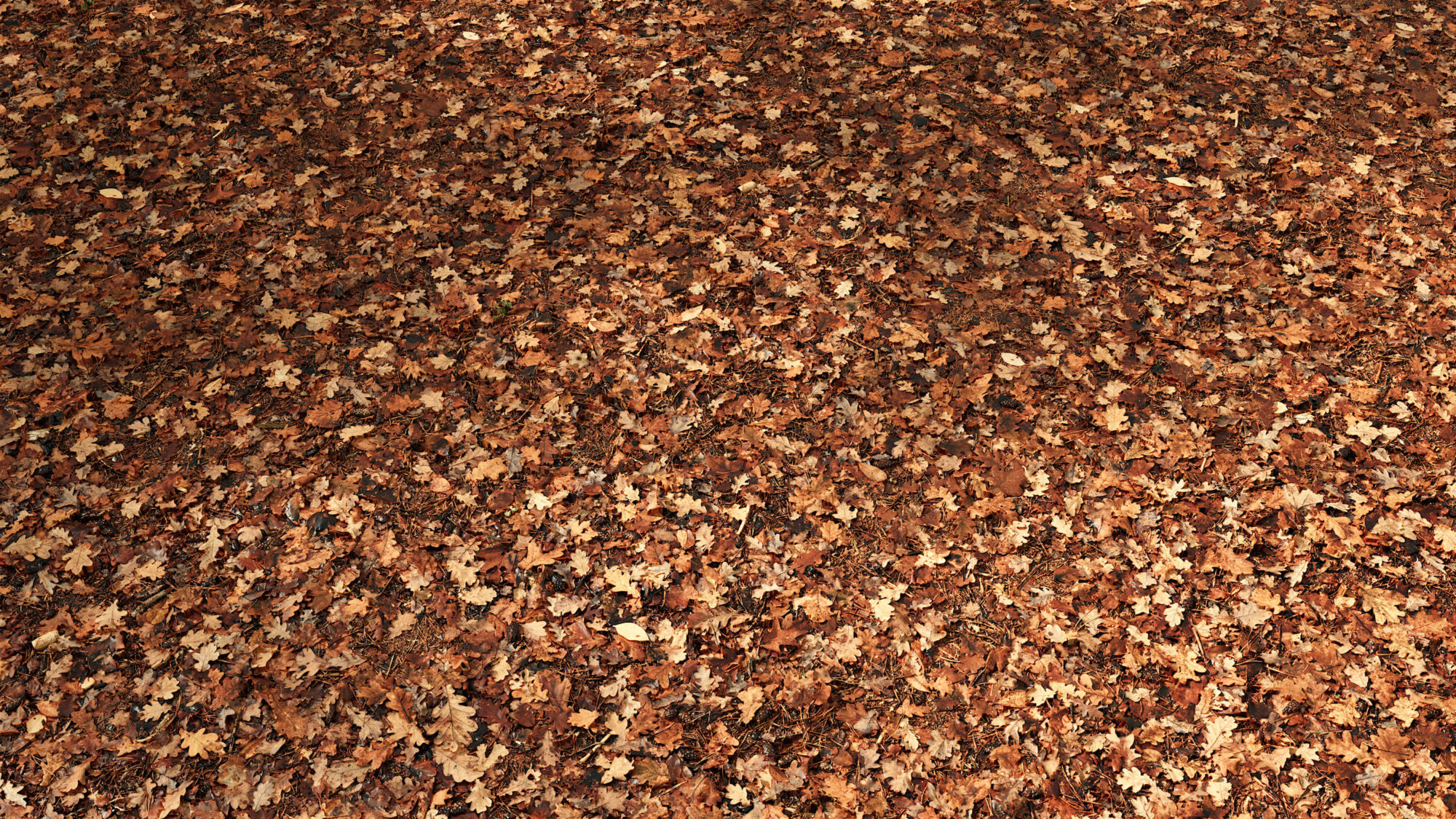 High-Resolution Seamless Forest Leaves PBR Texture