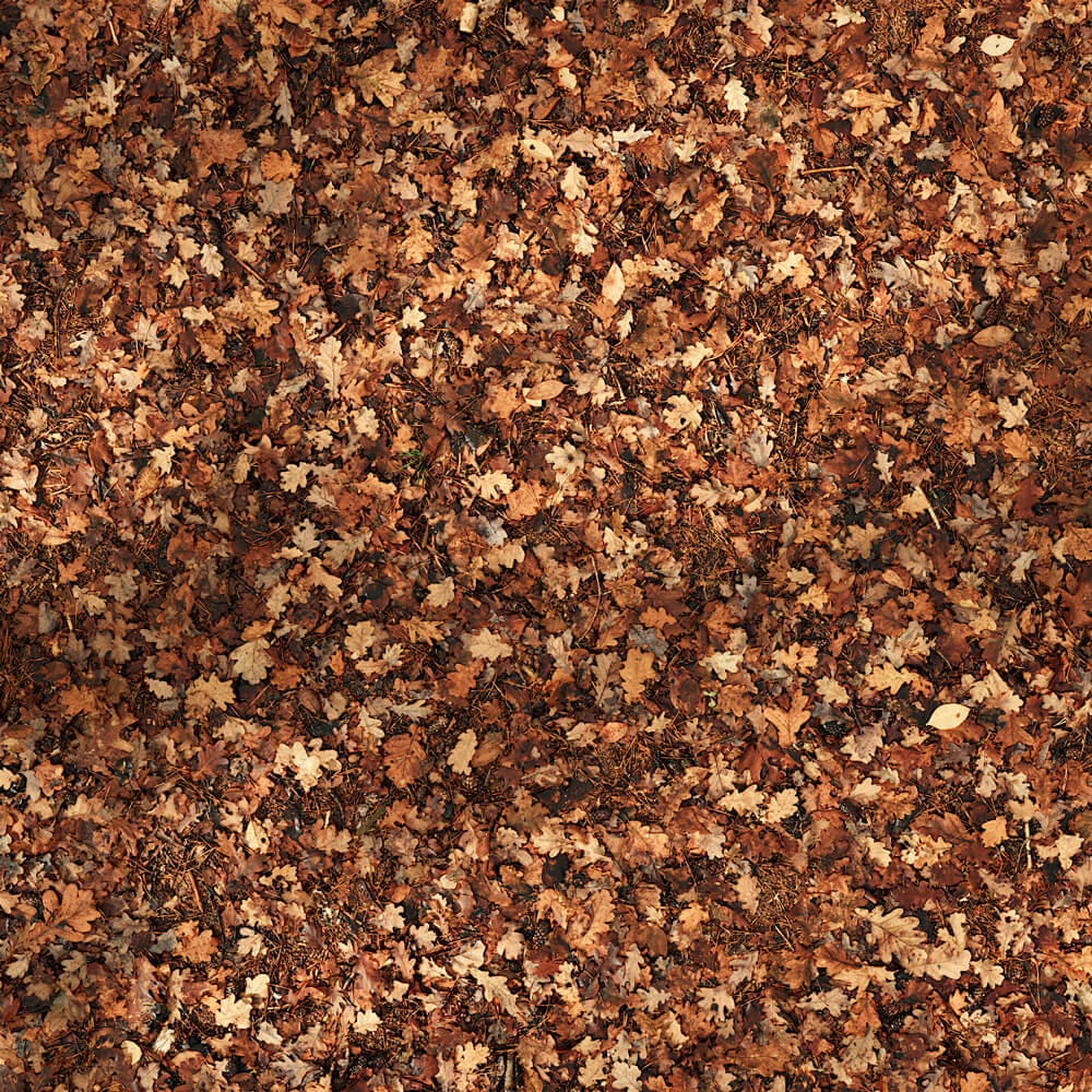 High-Resolution Seamless Forest Leaves PBR Texture