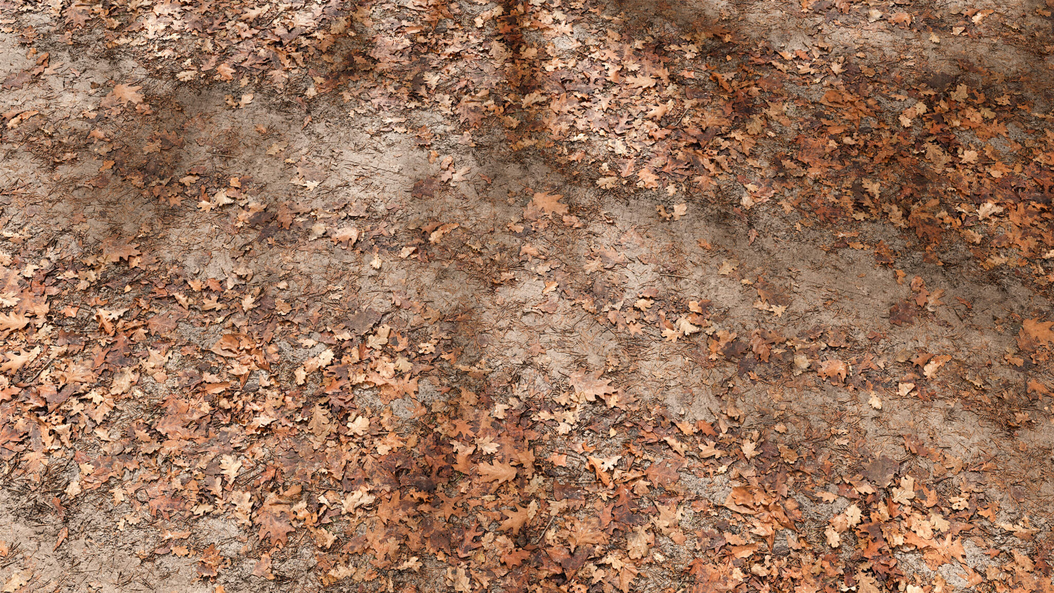 Seamless Forest Floor Texture | Materials of the World