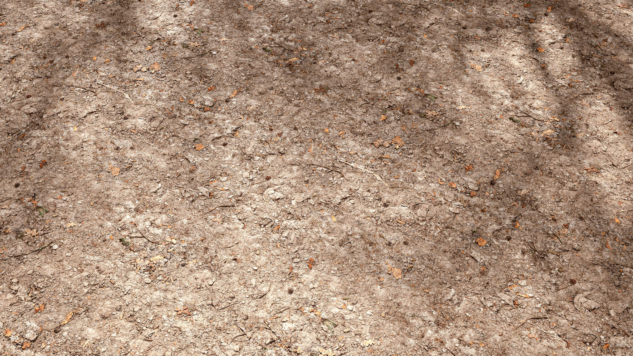 Seamless Trampled Soil Texture | Materials of the World