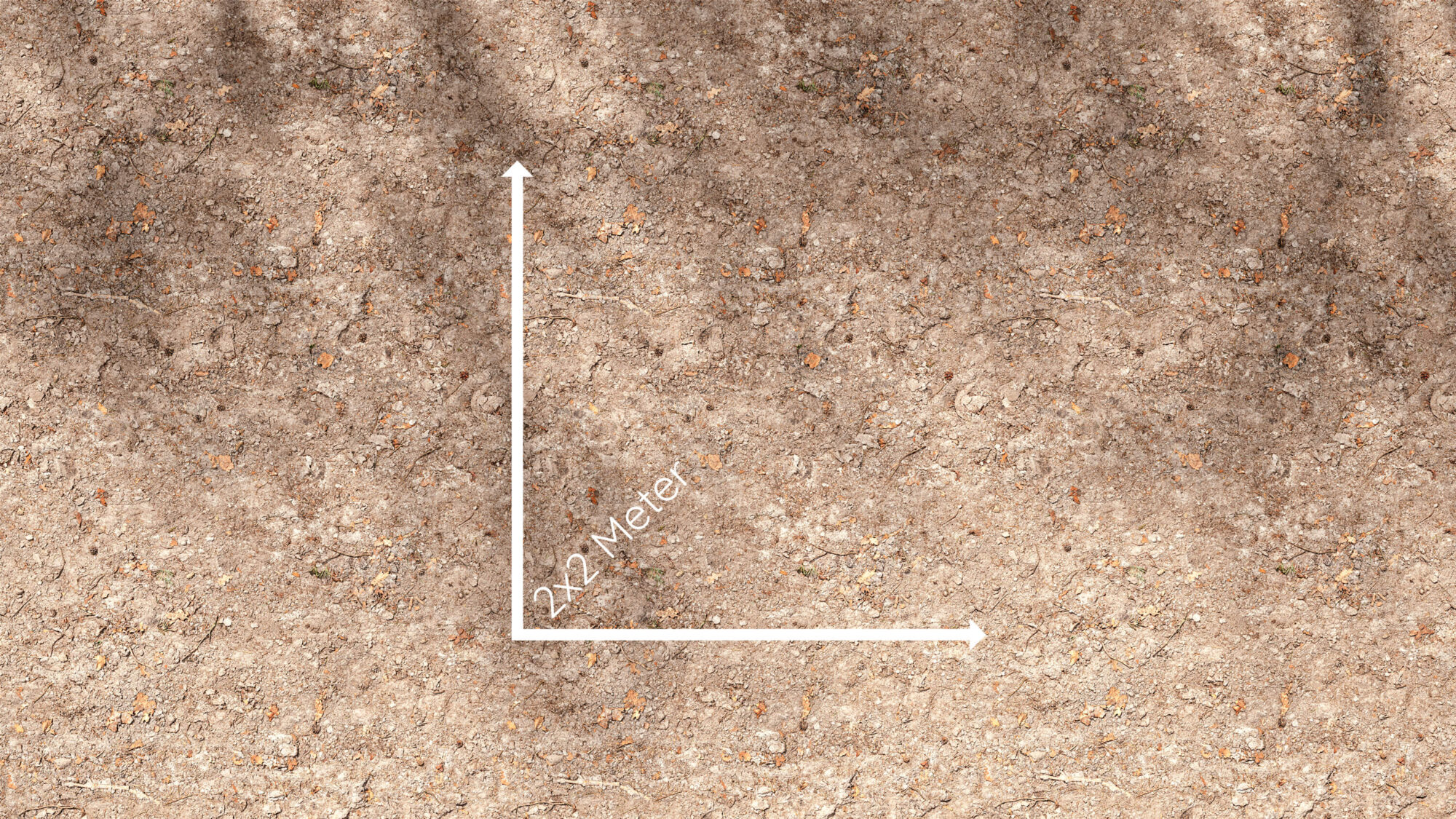 High-Resolution Seamless Soil Sand PBR Texture