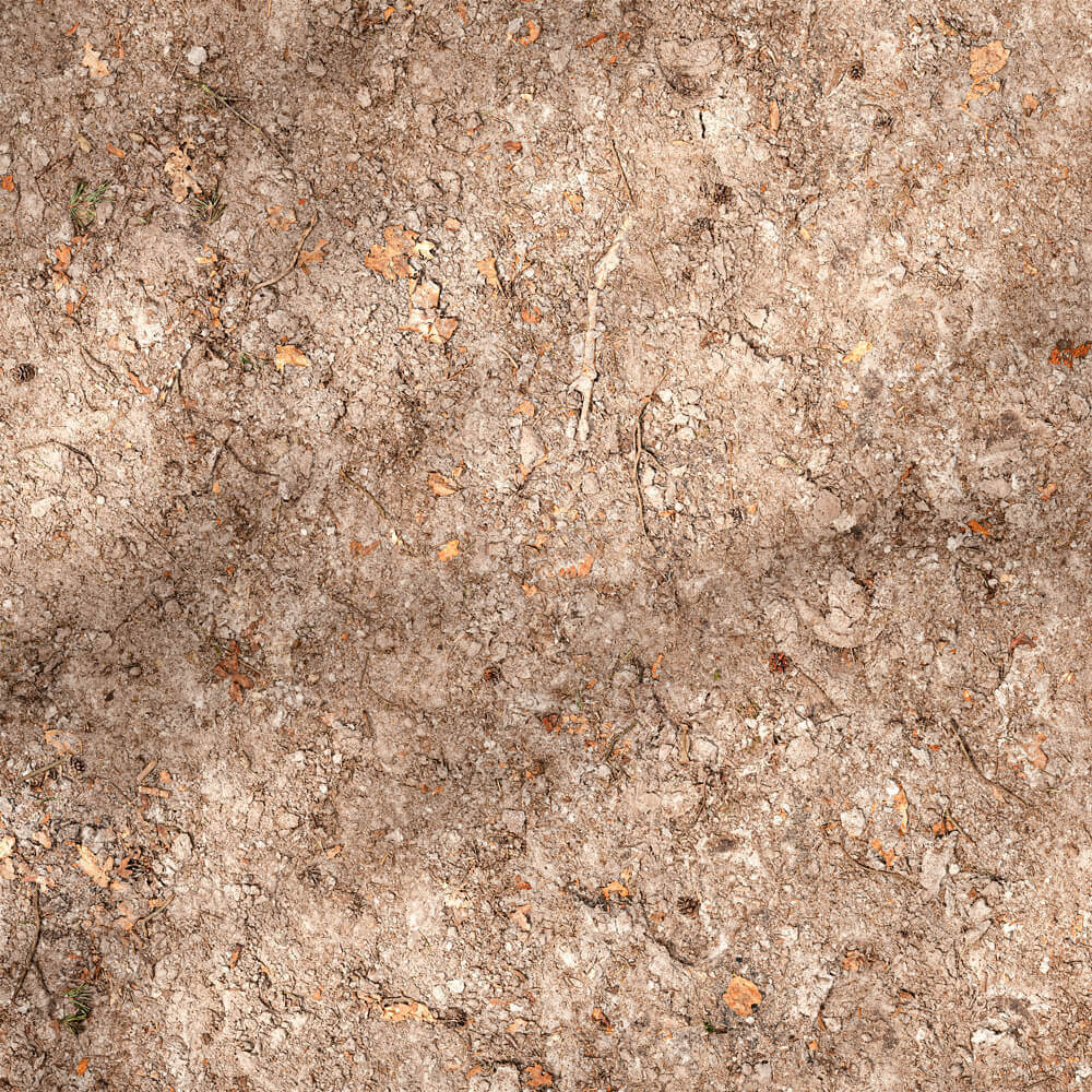 High-Resolution Seamless Soil Sand PBR Texture