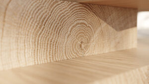 Seamless Oak Wood End grain Texture | Materials of the World