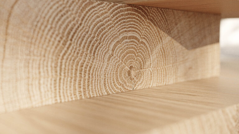 Seamless Oak Wood End grain Texture | Materials of the World
