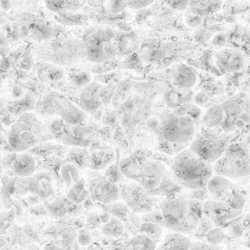 Materials Of The World | Seamless High Quality Textures for Arch-viz