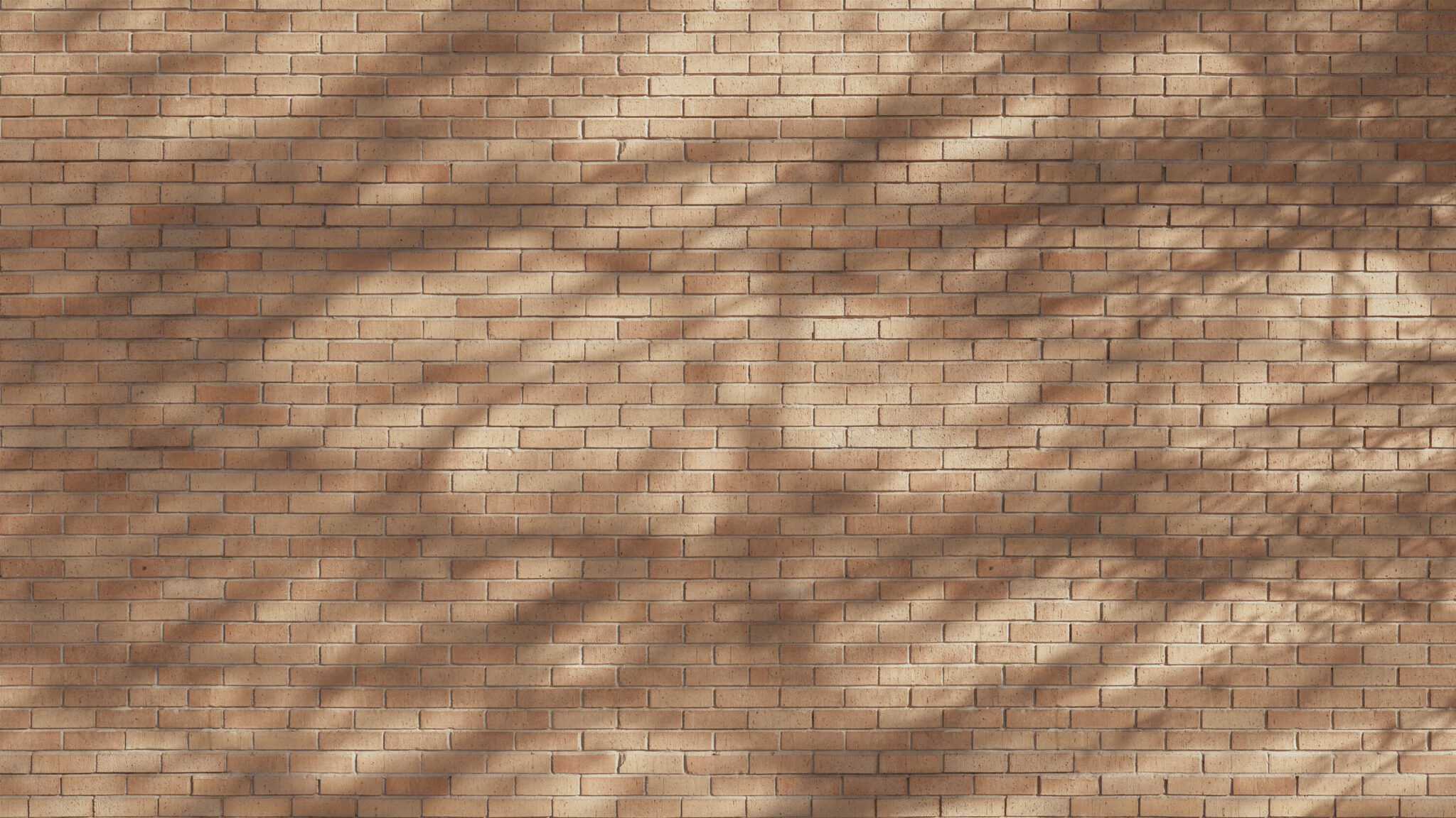 Seamless Brick Wall Texture | Materials of the World