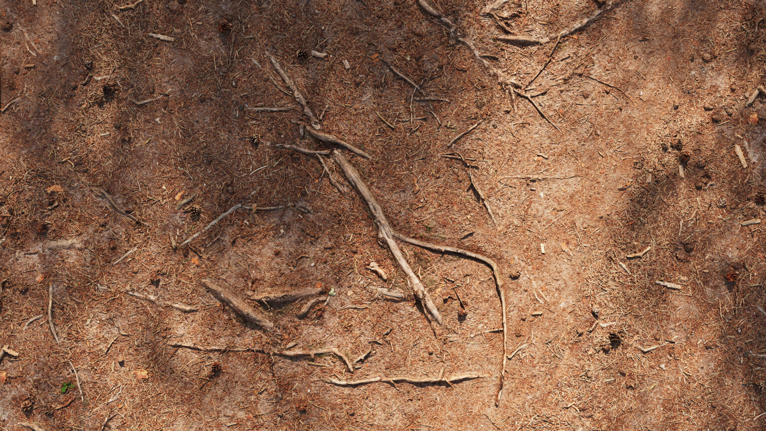 Seamless Forest Floor Texture | Materials of the World