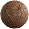 Seamless Forest Floor Texture | Materials of the World