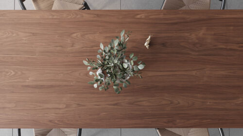 Seamless Walnut Wood Texture | Materials of the World