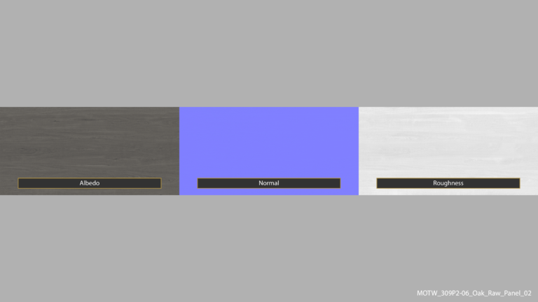 Seamless Grey Oak Wood Texture | Materials of the World