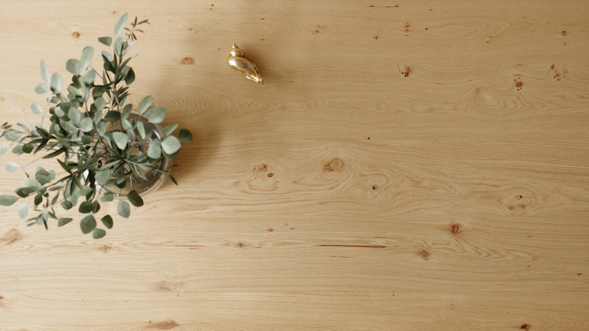 Seamless Rustic Oak Wood Texture | Materials of the World